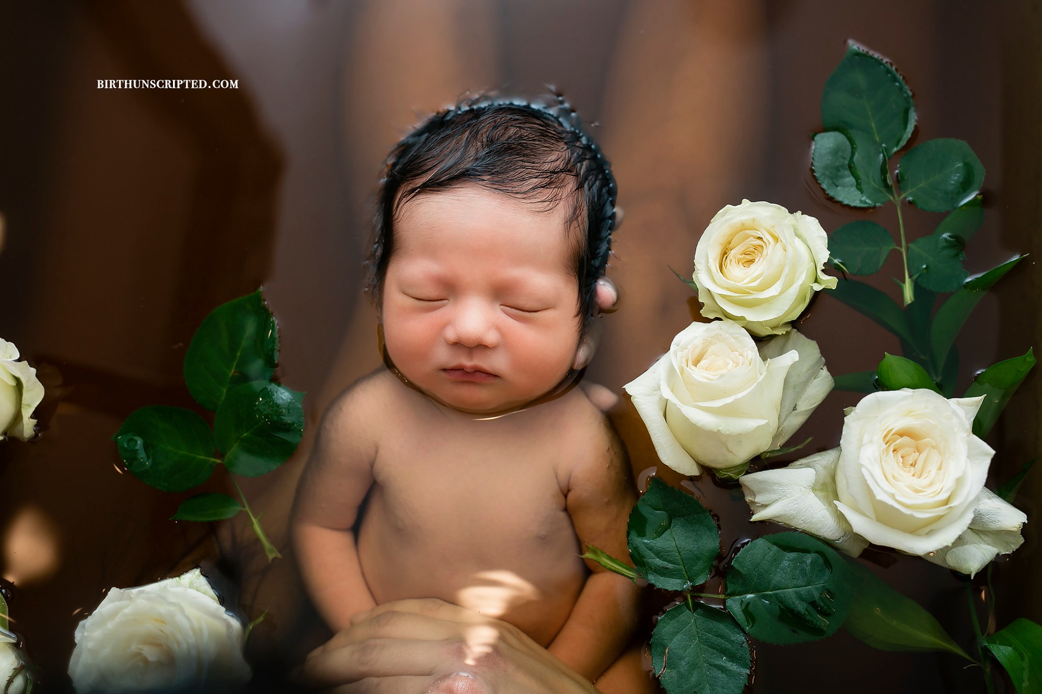 Elevate Your Birth Experience: Why Origins Birth Stands Out